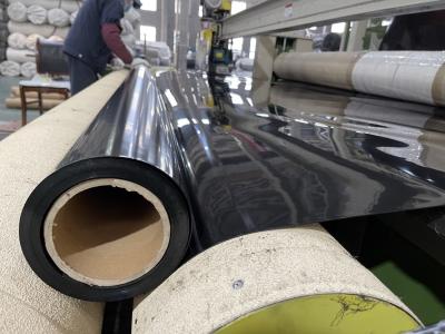China High Strength Plastic Fish Pond Hdpe Geomembrane 2mm Smooth For Landfill Projects for sale