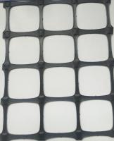China High Strength PP Biaxial Geogrid 38x38mm 50X50mm Mesh For Soil Stabilization Car Parking for sale