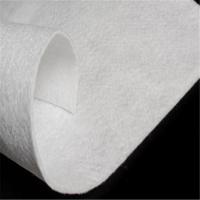 China 200g/M2 250g/M2 Nonwoven Polyester Geotextile For Dam And Road Construction for sale
