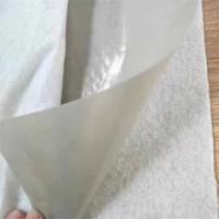 China High Strength Durability Polyester Nonwoven Geotextile Cover Geomembrane Landfill Liner for sale
