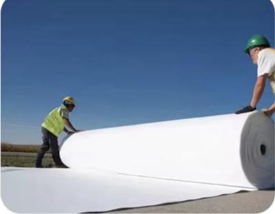 China Short Fiber Needle Punched Polyester Non Woven Geotextile Fabric For Landscape Drain for sale