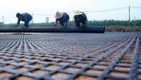 China Road Construction Pet 100-30 Kn/M Uniaxial Polyester Geogrid Slope Reinforcement Solutions for sale