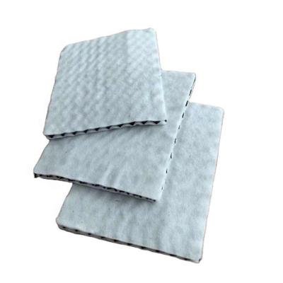China Geosynthetic Composite Drainage Net 3D Plastic Geocomposite Drain Net For Railway for sale
