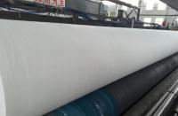 China High Strength Durability Erosion Control 500g PP Nonwoven Geotextile Isolation Protect Geomembrane   Landfill Liner for sale