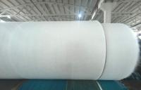 China High Pesrmeability 300g PP Nonwoven Geotextile Drainage Fabric Road Pavement Separates Subsoil Aggregate Layers for sale