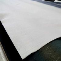 China High Strength Durability Polyester Nonwoven Geotextile Cover Geomembrane Landfill Liner for sale