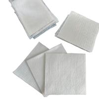 China High Strength Durability Polyester Nonwoven Geotextile Cover Geomembrane Landfill Liner for sale