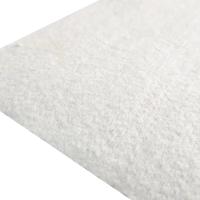 China High Strength 500g Polyester  PET Nonwoven Geotextile Slope Erosion Protection  Steep Slopes Riverbanks for sale