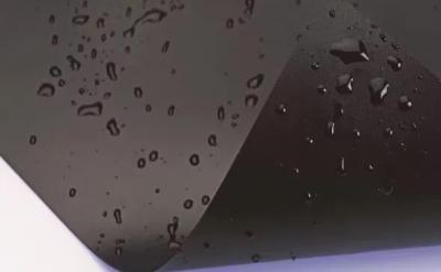 China High-Density Polyethylene High Strength Chemical Corrosion Resistance Construction Durable Plastic HDPE Geomembrane for sale