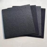 China 0.75mm 40Mil Chemical Resistance Impermeability  HDPE Geomembrana Wastewater Treatment Plant Biodigester  Liner for sale