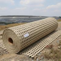 China Bidirectional Warp Knitted PET Polyester Geogrid For Landfill Side Slopes Reinforcement for sale