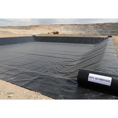 China Plastic Black Pond Liner HDPE Geo Membrane For Water Reservoir Mining Landfill for sale