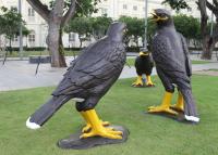 China Large Painted Fiberglass Eagle Sculpture Life Size Outdoor Garden Public Decoration for sale