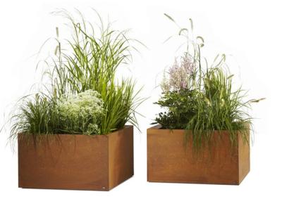 China Contemporary Corten Steel Planter Box 70cm Length with 16-Gauge Steel Construction for Outdoor Garden Use for sale