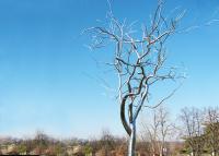 China Handmade Stainless Steel Withered Tree Sculpture 15m Height Outdoor Garden Metal Art with Custom Options for sale