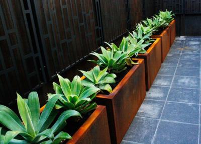 China Custom Square Corten Steel Planters 50cm Height Outdoor Garden Decoration with Rust Patina Finish for sale