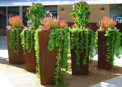 China Modern Corten Steel Planter Box 80cm Height Outdoor Garden Decoration with 80+ Year Lifespan for sale