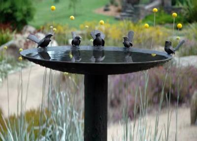 China Life Size Bronze Bird Bath Bowl Statue Garden Sculpture 5 Birds Patina Finish for sale