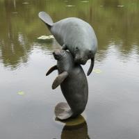 China Large Bronze Manatee Mother and Baby Sculpture Marine Animal Coastal Garden Outdoor Art Statue Custom Size for sale