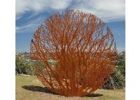 China Laser Cut Corten Steel Tree Garden Sculpture - Rusty Finish, Custom Sizes, 25 Day Delivery for sale