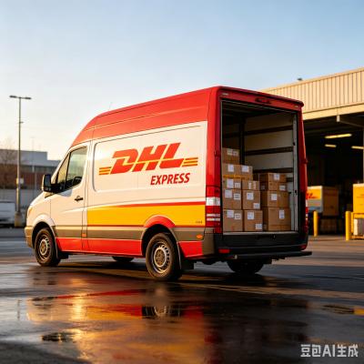 China China To  European countries DHL International Express  Door To Door Service for sale