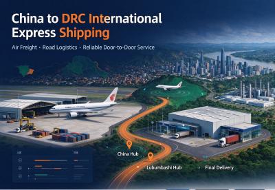 China China to the Democratic Republic of the Congo International Dedicated Line Transportation Service for sale