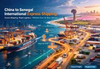 China China to Senegal International Dedicated Line Transportation Service for sale