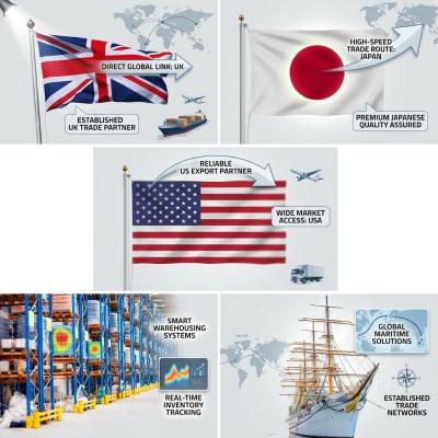 China Air DDP Freight China-France Door-to-Door Priority Shipping Solutions for Importers for sale