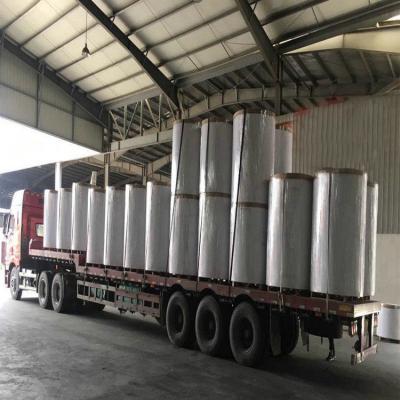 China Top-Rated Industrial Duplex Board Grey Back Manufacturers for sale