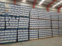China OEM Woodfree Offset Paper For Printing Monochrome Or Multi Color Book Covers for sale