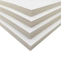 China C2S Art Board/Art Card Paper 300 gsm for Printing and Bag Package for sale