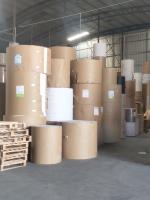 China Coated Kraft Liner Paper for Offset Printing and Custom Order Accepted for sale