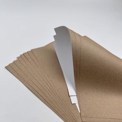 China Coating Paint White Top Kraft Liner Paper Jumbo Roll with PE Coating Material Affordable for sale