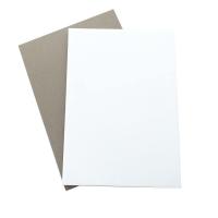 China Industrial Use Chemical Resistance Customized Shape Duplex Board Grey Back for Packaging for sale