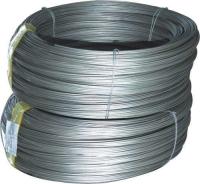 China Carbon Spring Galvanized Metal Wire 0.3mm To 50mm Coated for sale