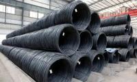 China Agricultural And Commercial  A510 Steel Wire 0.23