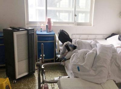 China Pseudomonas Aeruginosa Air Purifier For Large Living Room for sale