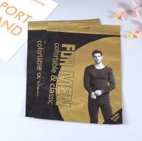 China Custom Printed Clear Underwear Packaging Bags with Hang Hole Multi-layer Zipper Heat Sealable Bag for sale