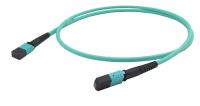 China Data Transmission Fiber Optic Patch Cord / 12 Core Singlemode Cable 5M Length MPO LC Connector for sale