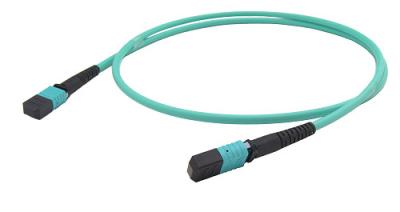 China Data Transmission Fiber Optic Patch Cord / 12 Core Singlemode Cable 5M Length MPO LC Connector for sale