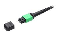 China Data Transmission Fiber Optic Patch Cord / 12 Core Singlemode Cable 5M Length MPO LC Connector for sale