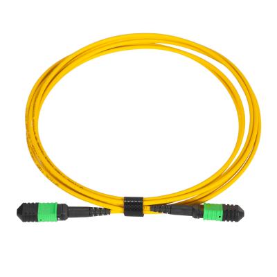 China 12 Fibers MPO APC Female to APC Female OS2 Trunk Cable Single Mode for sale