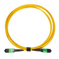 China 24 Fibers MPO APC Female to APC Female OS2 Trunk Cable Single Mode for sale