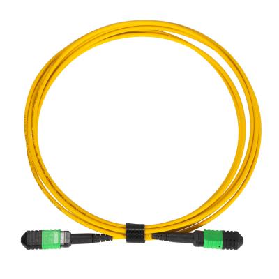 China 24 Fibers MPO APC Female to APC Female OS2 Trunk Cable Single Mode for sale