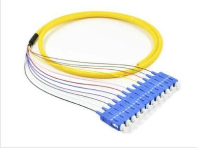 China Yello Color Optic Fiber Patch Cable Patch Cords SC 12 Cores Bundle Pigtail for sale