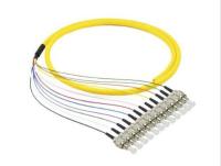 China Yello Color Optic Fiber Patch Cable Patch Cords SC 12 Cores Bundle Pigtail for sale