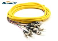 China ST Connector Fanout Fiber Optic Pigtail For FTTH FTTB FTTX Network for sale