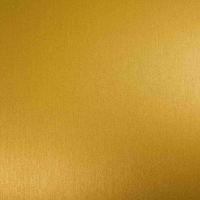 China Matte Fog Brushed Anodized Aluminum Panel In Bright Pale Golden Shade With Hard Sealed Anodizing For Durable Cladding for sale