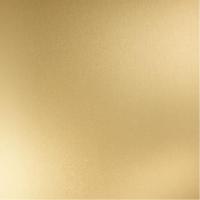 China Champagne Gold Hard Anodized Aluminum Panel Lightweight For Wall Cladding And Facades for sale