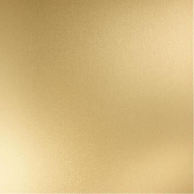 China Champagne Gold Hard Anodized Aluminum Panel Lightweight For Wall Cladding And Facades for sale